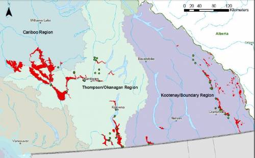BC's Wild/ Domestic Sheep Separation Program - Habitat Conservation ...