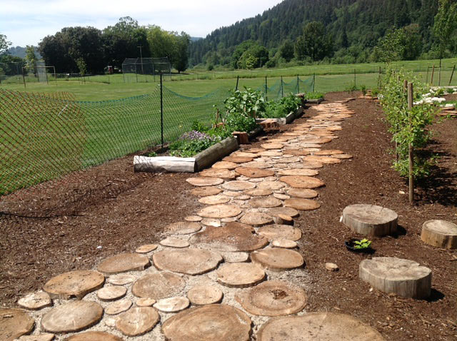 Transformed School Grounds Enhance Environmental Learning - Habitat ...