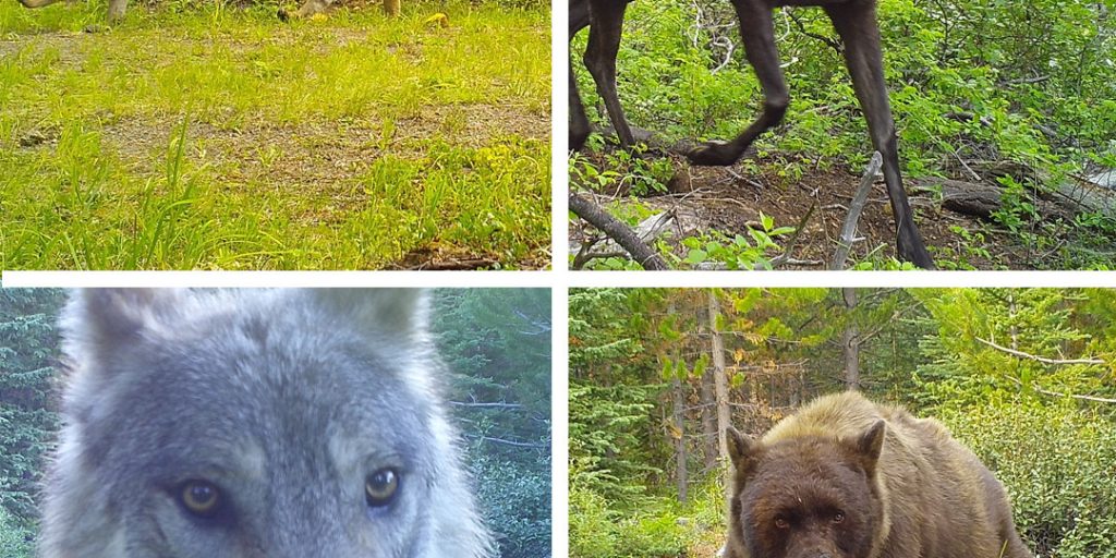 Meet the Neighbours! - Habitat Conservation Trust Foundation