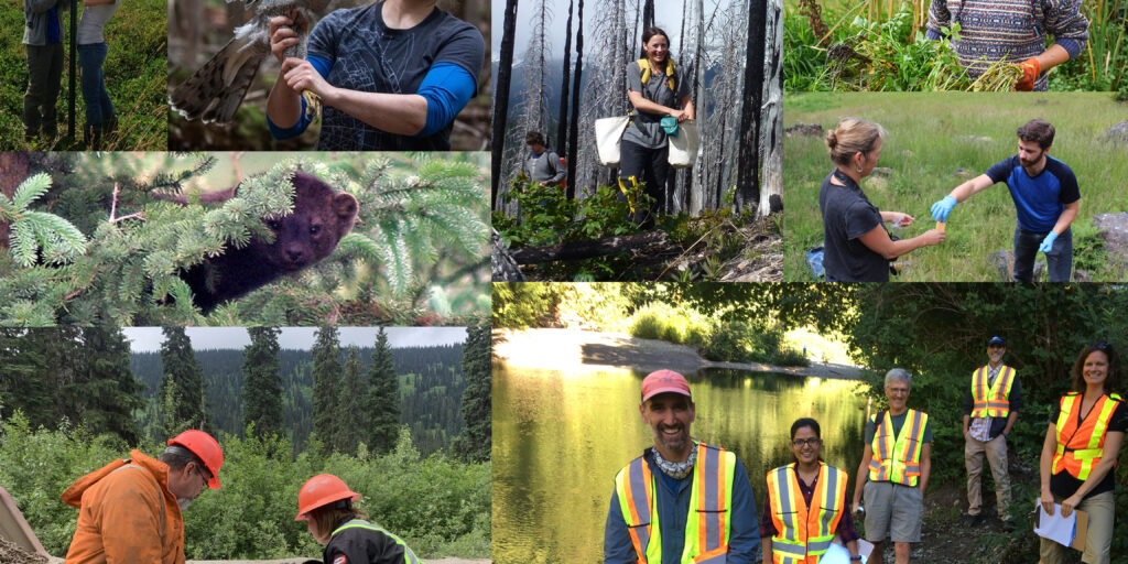 60+ Conservation Projects funded through NEW Conservation Economic ...