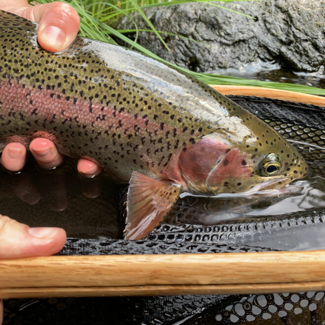 Home - Habitat Conservation Trust Foundation