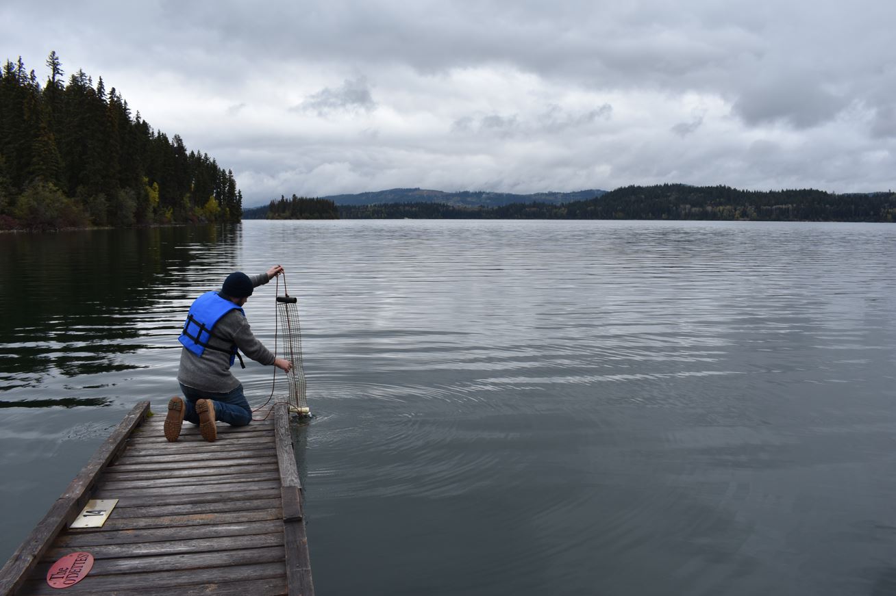 $8 Million in Funding Approved for Conservation Projects Across B.C ...