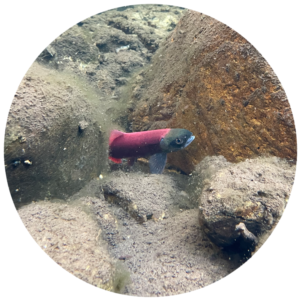 2023 Al Martin HCTF Conservation Fellowship Recipients Announced - Habitat Conservation Trust ...