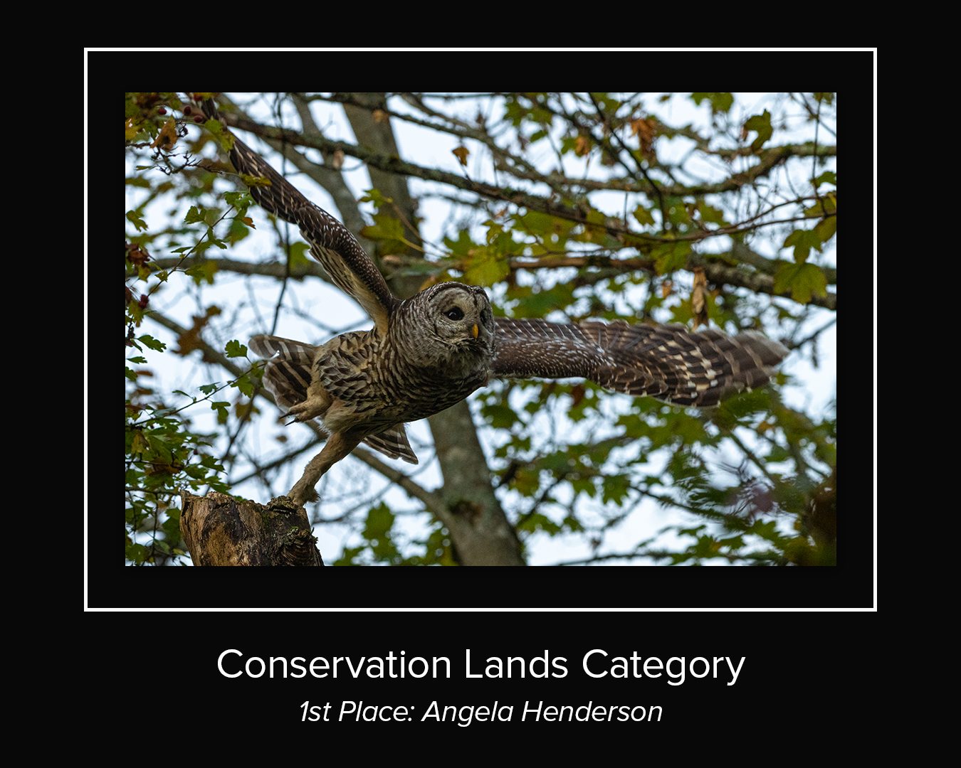 Announcing the 2023 HCTF Photo Contest Winners - Habitat Conservation ...