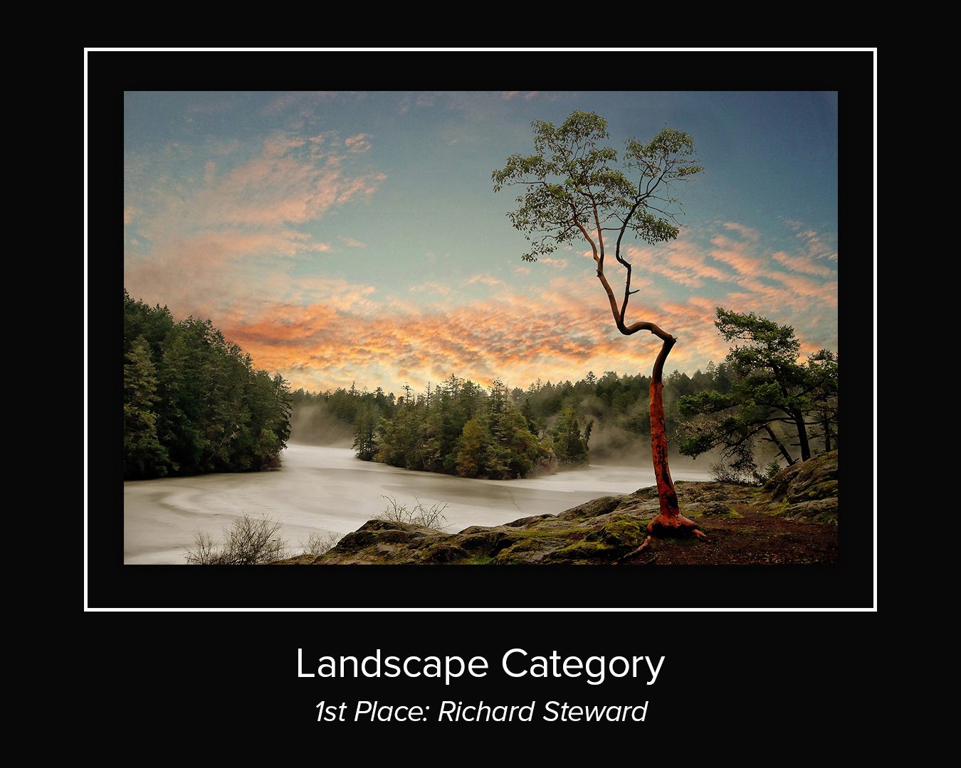 Announcing the 2023 HCTF Photo Contest Winners - Habitat Conservation ...