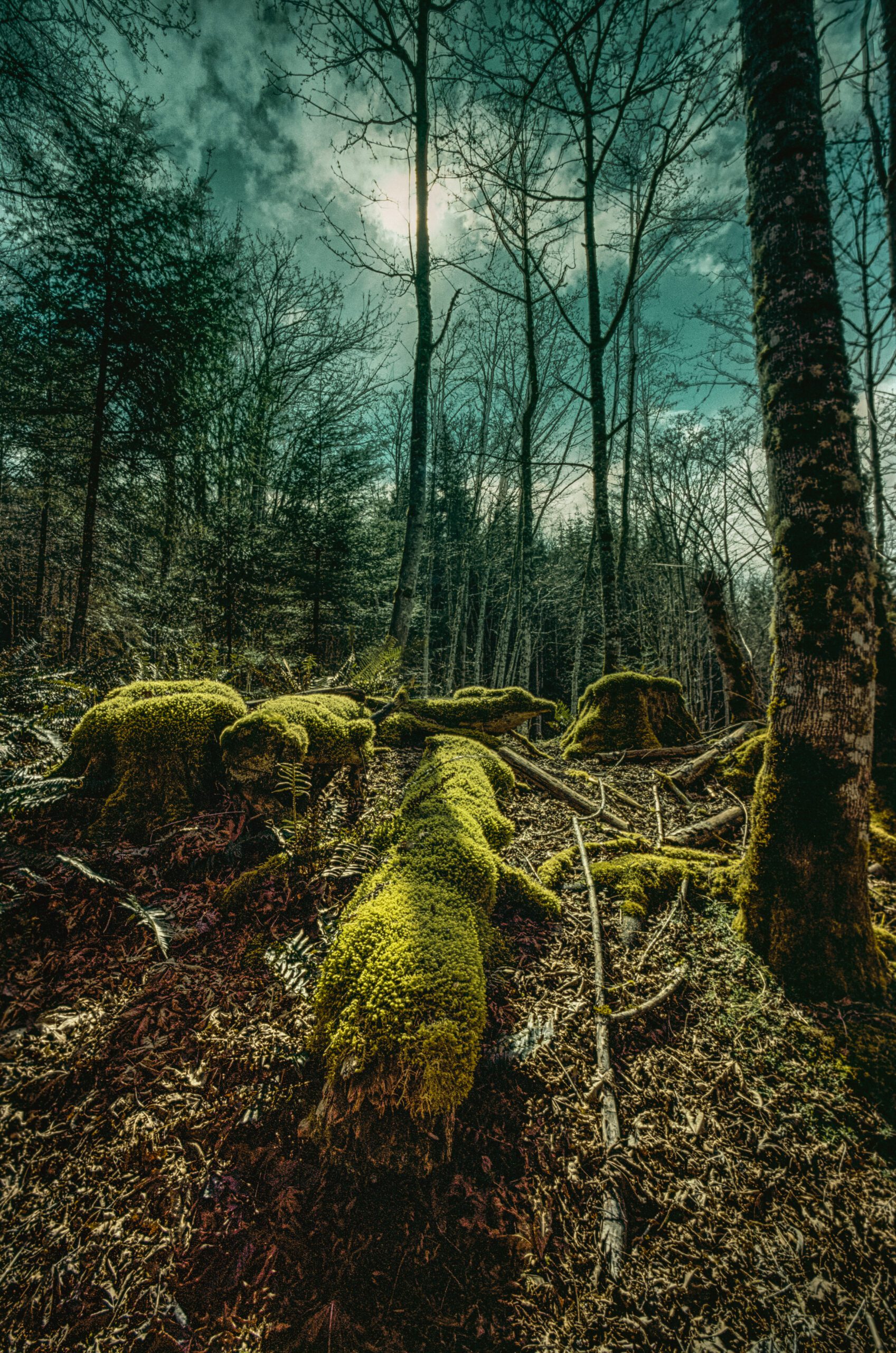 Collaborative Conservation on Galiano Island - Habitat Conservation ...