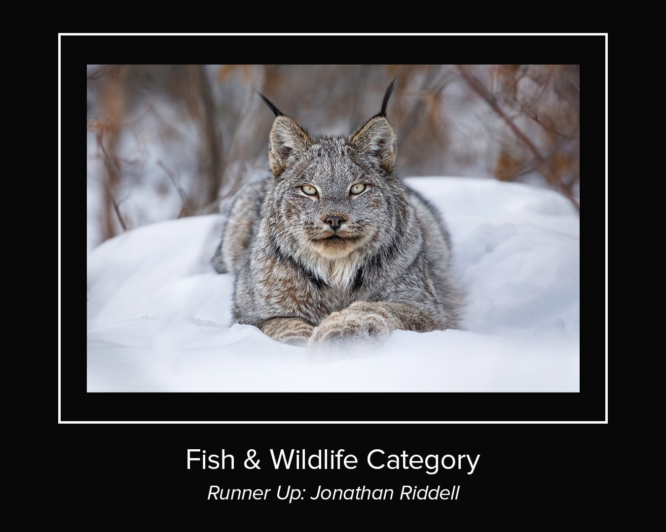 Announcing the 2023 HCTF Photo Contest Winners - Habitat Conservation ...