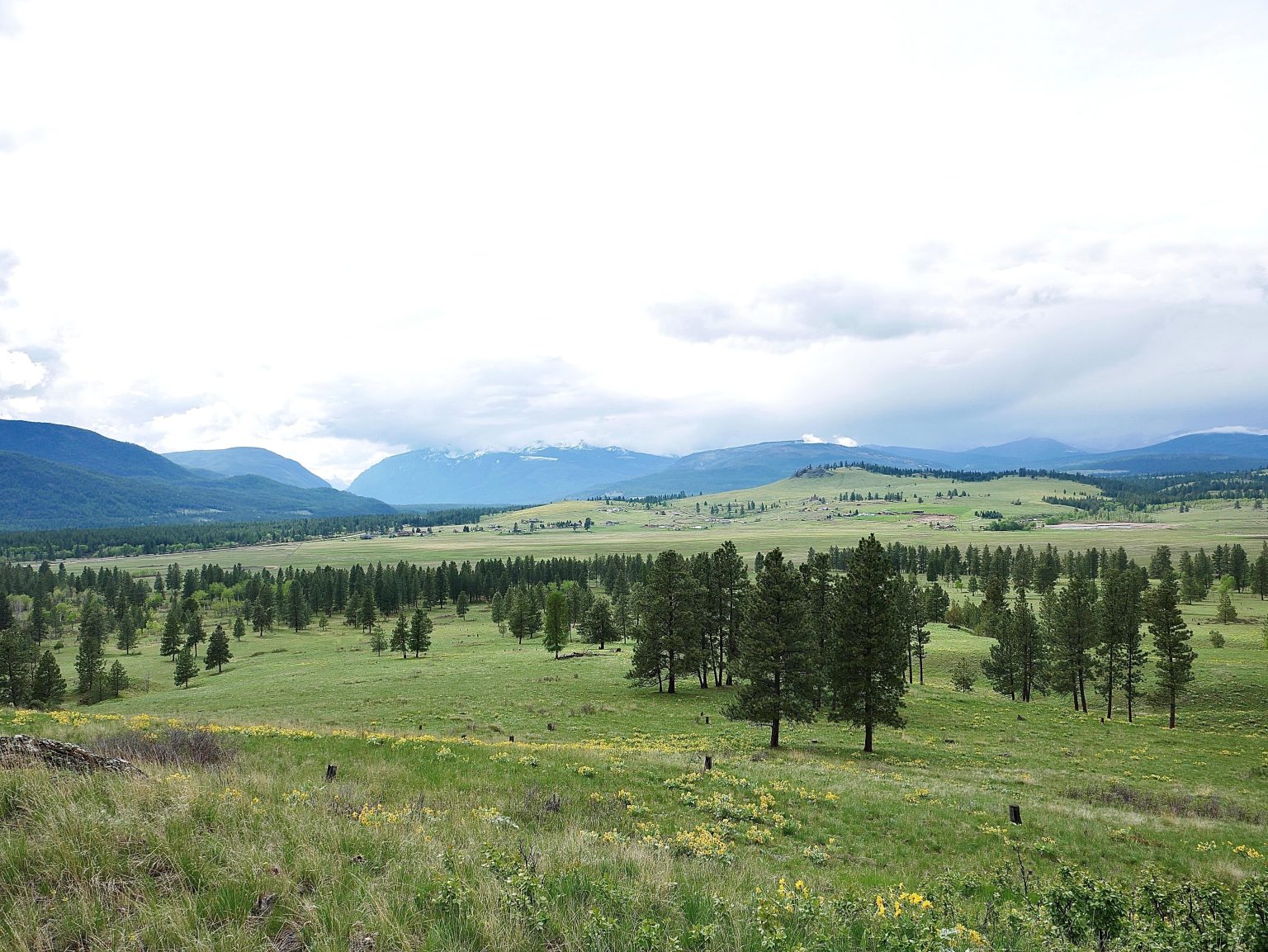 Protection of Vital Wildlife Corridors for Rare and At-Risk Species ...
