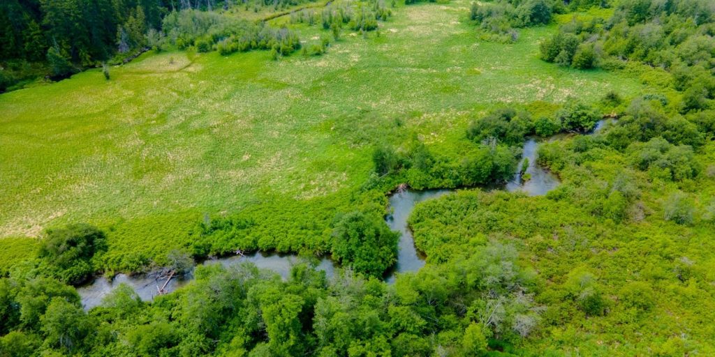 Salmon Habitat Restoration Underway in Expanded Conservation Area ...
