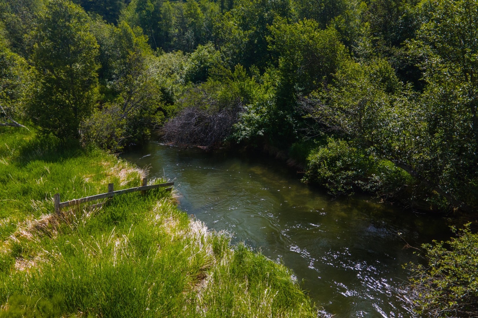 Salmon Habitat Restoration Underway in Expanded Conservation Area ...